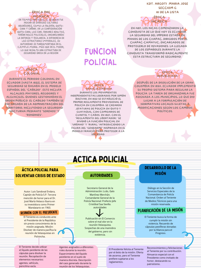 Organizador Gráfico Metas Personales Femenino Rosa | PDF | Policía ...