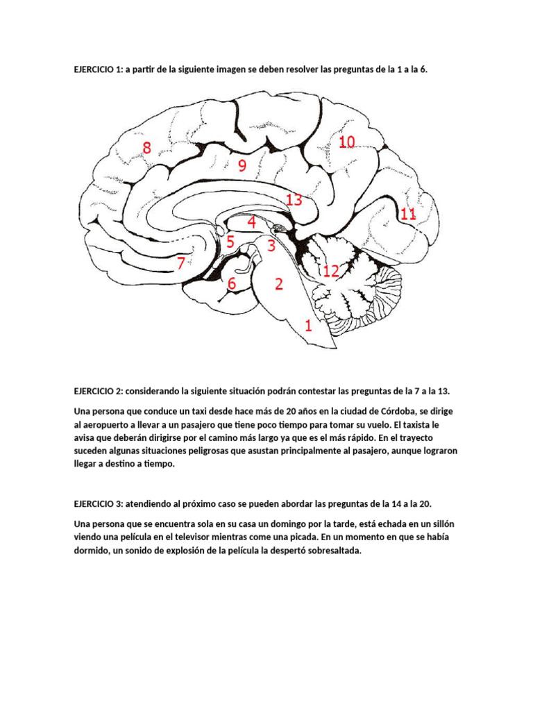 2022-Parcial 1 - Ejercicios | PDF