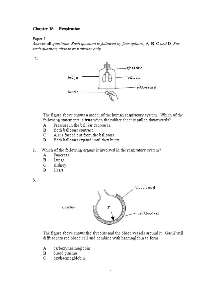 Form 3 Science Chapter 1 | PDF | Respiratory System | Lung