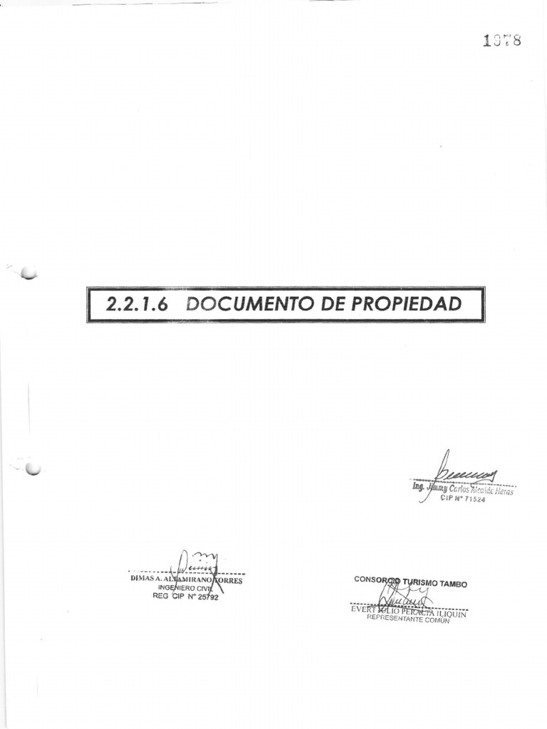 Documentos de Titularidad Del Proyecto Actividad Tambo Comunitario | PDF