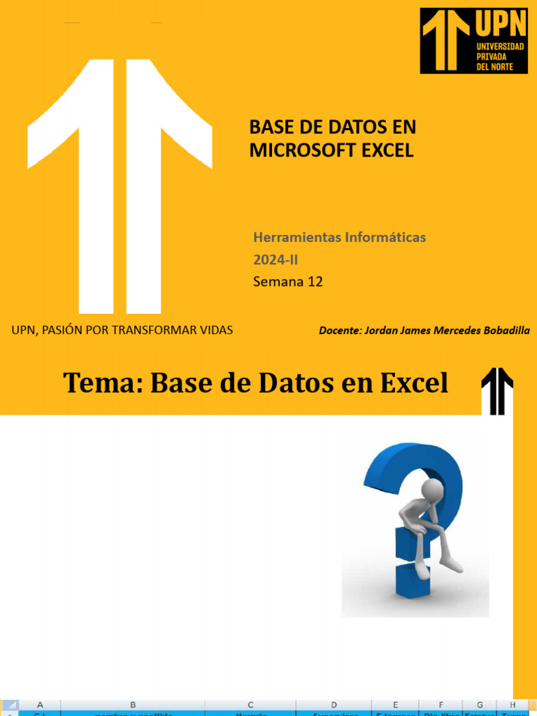 BASE DE DATOS EN MICROSOFT EXCEL SEMANA 12 | PDF | Microsoft Excel | Bases de datos