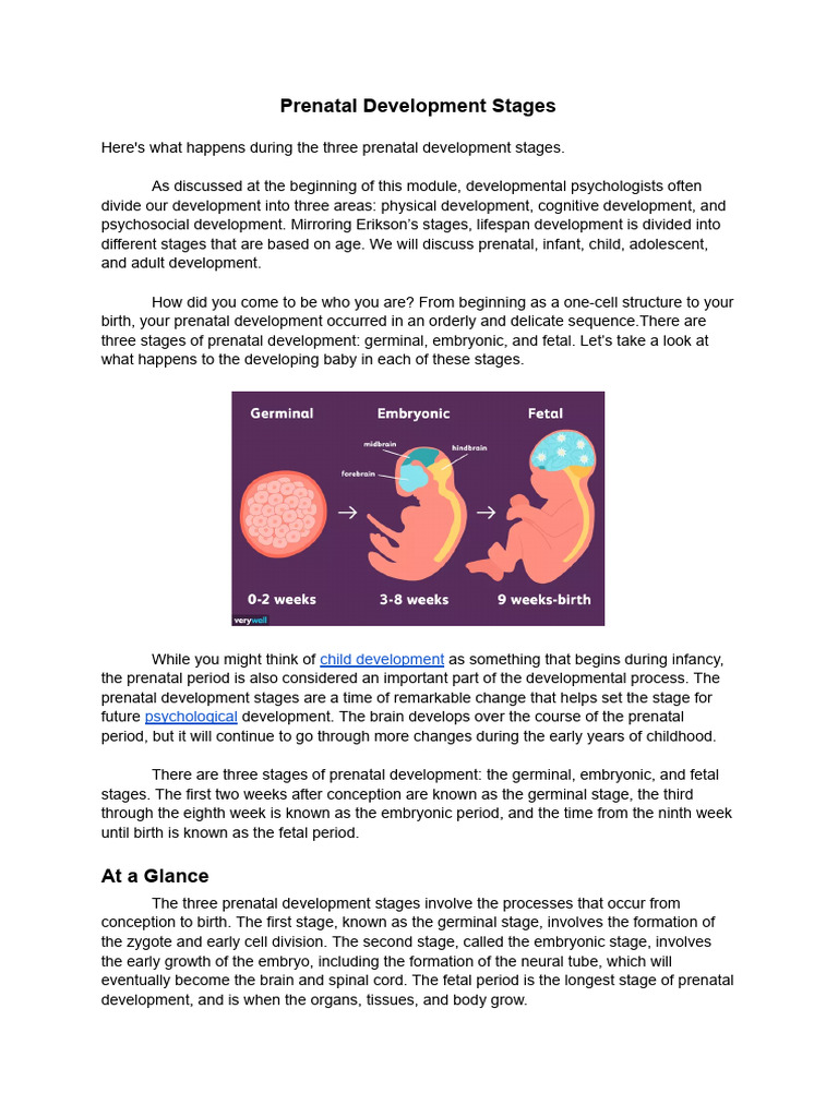 PRENATAL DEVELOPMENT | PDF | Prenatal Development | Fetus