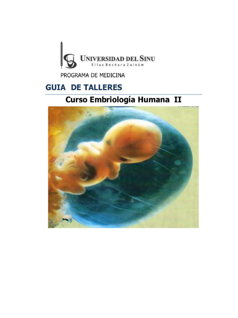 Guia Complementaria de Generalidades | PDF