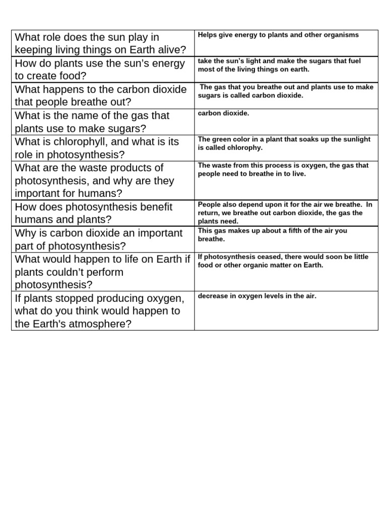 Photosynthesis Questions Answer Sheet | PDF | Wellness | Science ...
