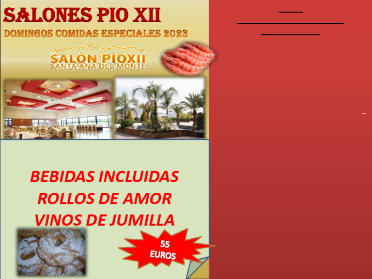 Menú Especial Domingos 2023 en Salones Pio XII | PDF
