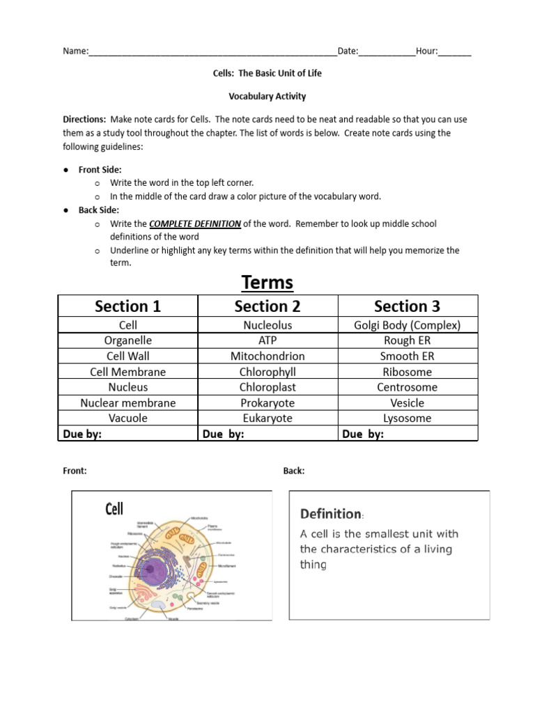 Cell Vocab Activity | PDF | Science & Mathematics