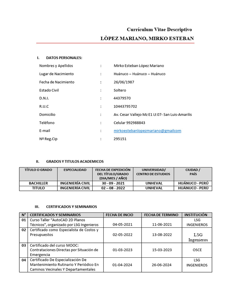 Cv-Mirko LM 0910 | PDF | Ingeniería