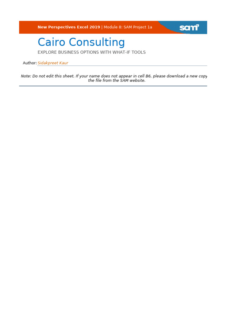 Cairo Consulting Profit Analysis | PDF | Financial Economics | Income