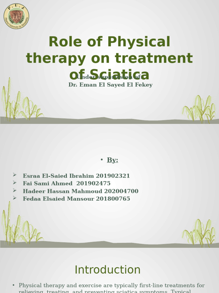 Sciatica | PDF | Low Back Pain | Physical Therapy