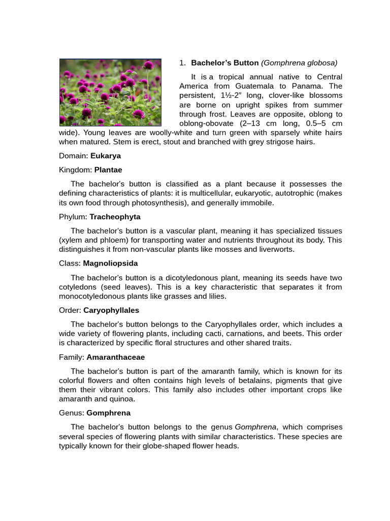 Taxonomy Ranking | PDF | Plants | Flowers