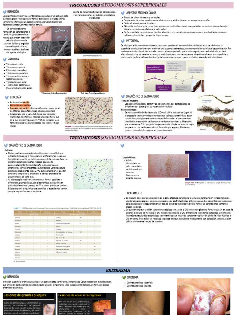Trico, Erit y Micosis Subcutáneas | PDF | Especialidades Medicas