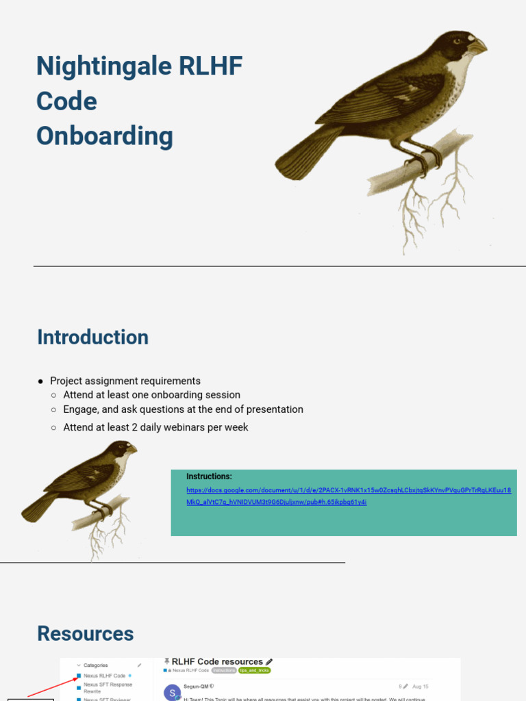 Nightingale RLHF Onboarding Guide | PDF | Rubric (Academic) | Vocabulary