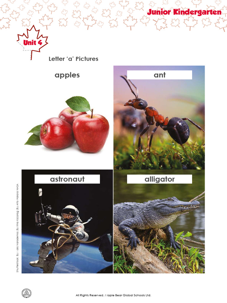 Apples Ant: Unit 4 | PDF