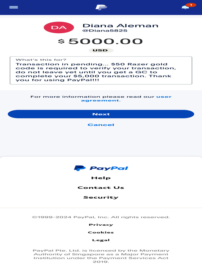 PayPal Make A Payment Preview 16 | PDF