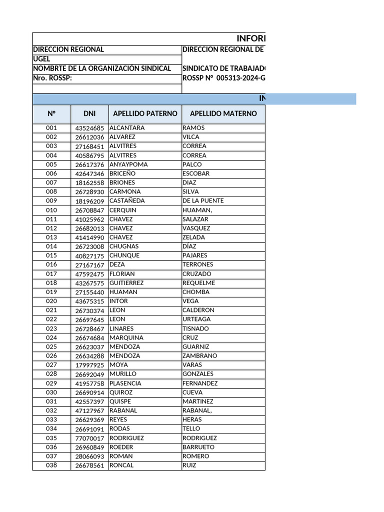 Formato Padron | PDF