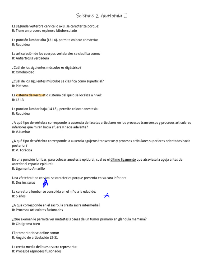 Comp Grande Preg Solemne 2 Unidad Anato-1 | PDF | Laringe | Anatomía humana