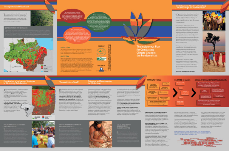 The Indigenous Plan For Combating Climat | PDF | Amazon Rainforest ...