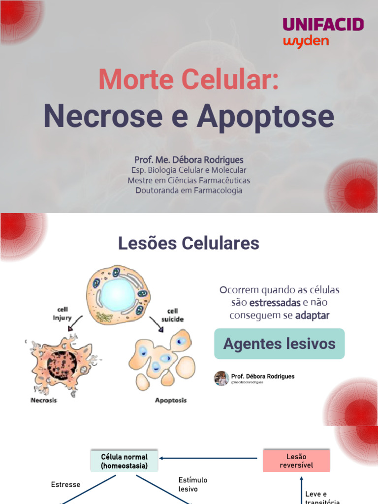 Morte Celular: Necrose e Apoptose Explicadas | PDF | Necrose | Apoptose