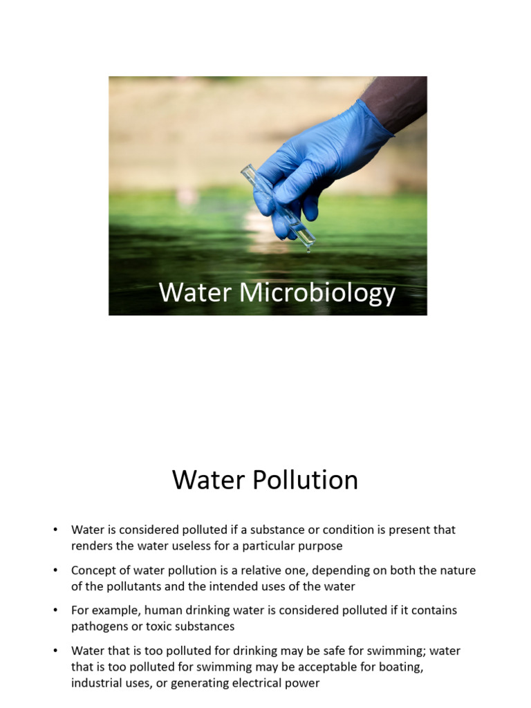 Water Microbiology and Pollution Insights | PDF | Sewage Treatment ...