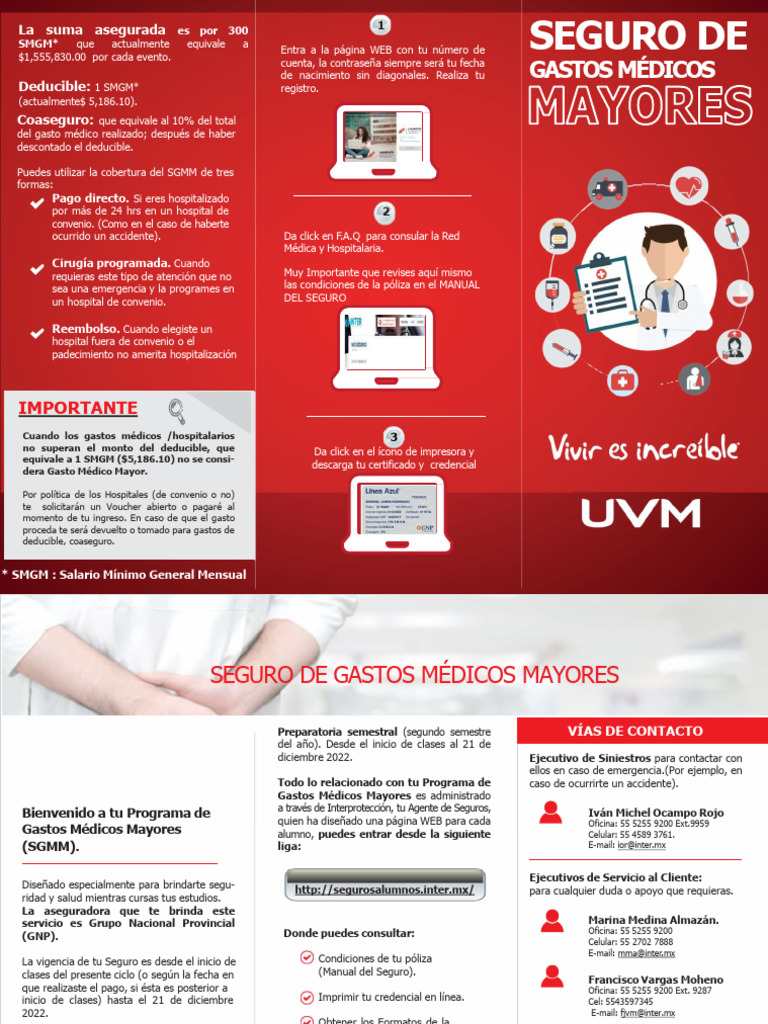 Tríptico SGMM 2024 | PDF | Seguro | Riesgo financiero