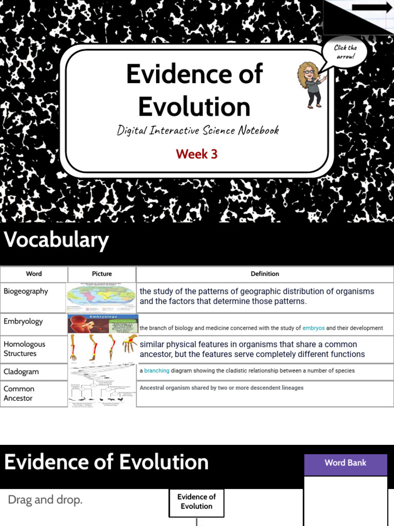 Evidence of Evolution: Week 3 Vocabulary | PDF | Homology (Biology ...