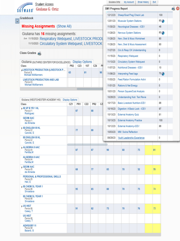 Student Access Gradebook | PDF