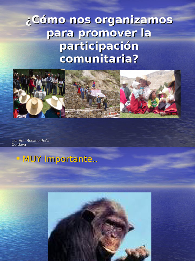 Organización para la Participación Comunitaria | PDF | Crecimiento ...