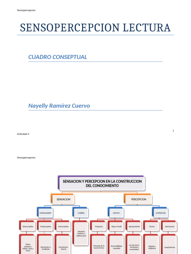 CUADRO CONSEPTUAL SENSOPERCEPCION | PDF