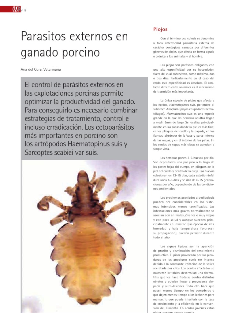19 Parasitos Externos | PDF | Bienestar | Medicina