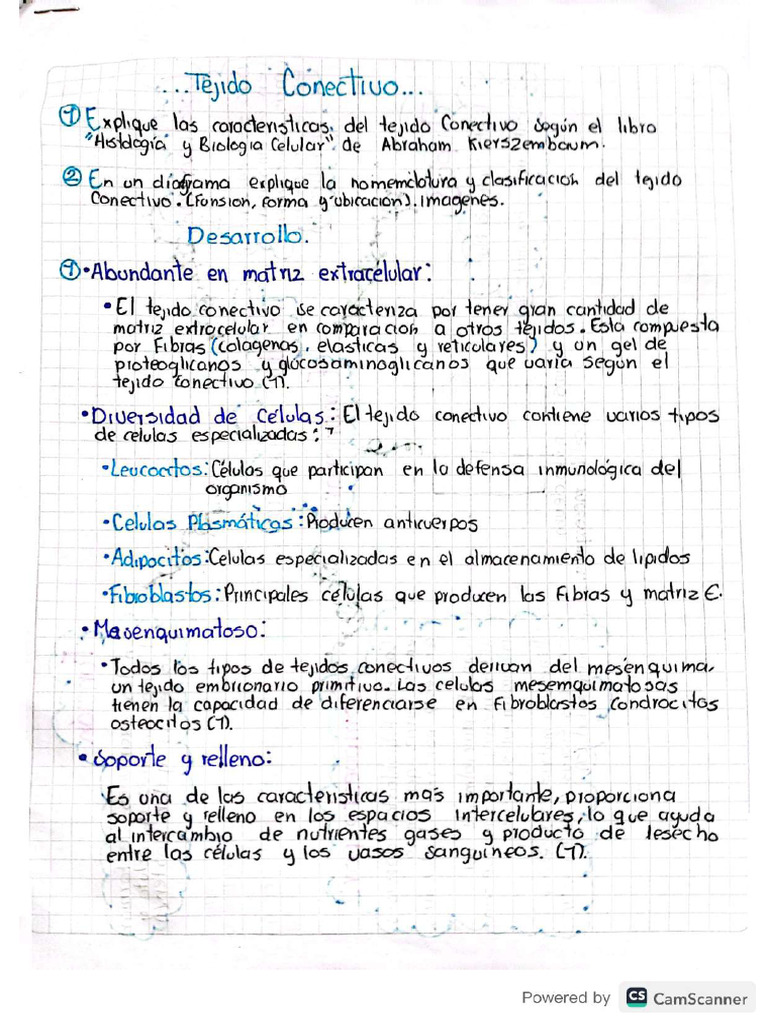 DOC-20241028-WA0012^_compressed | PDF