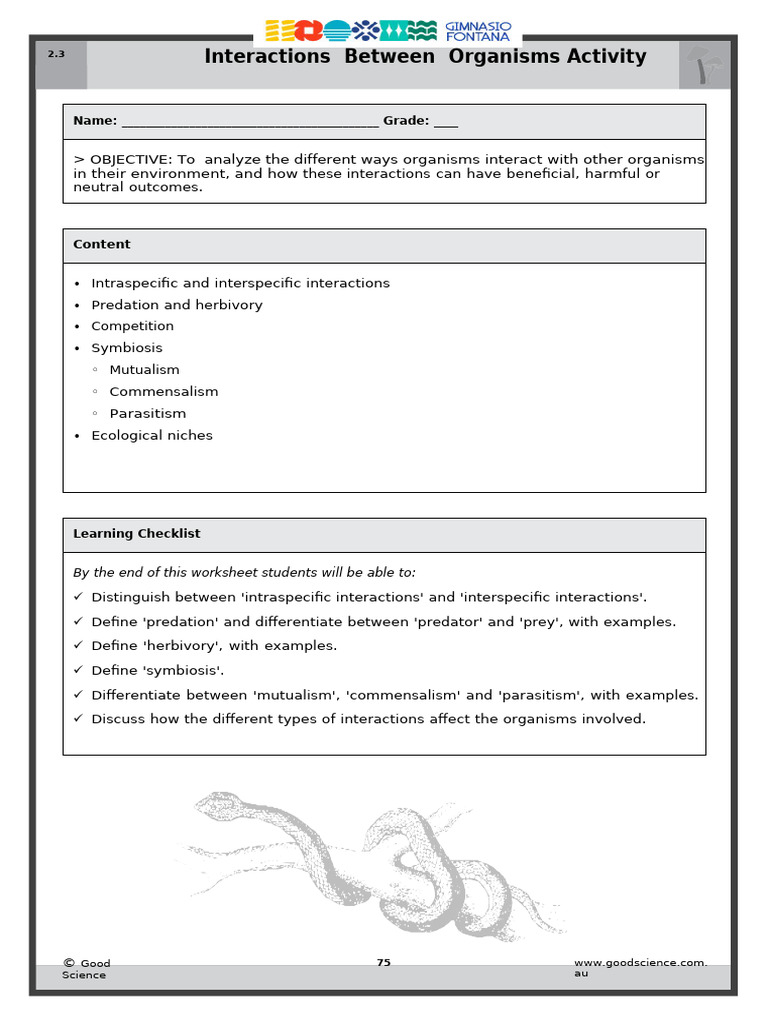 Interactions Between Organisms Activity: Name: - Grade | PDF ...