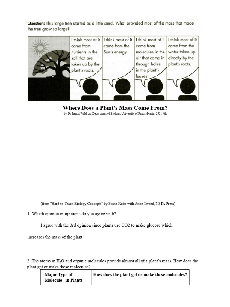 Sources of Plant Mass Explained | PDF | Photosynthesis | Plants