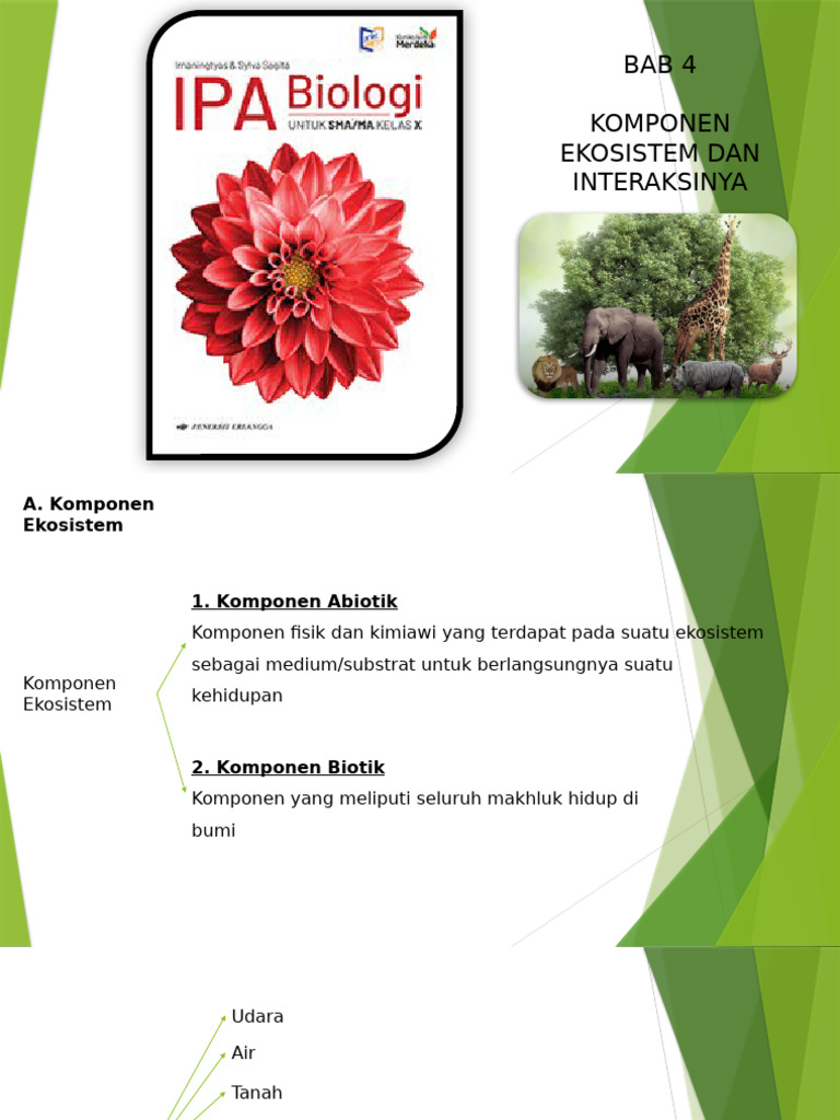 Bab 4 Komponen Ekosistem Dan Interaksinya | PDF
