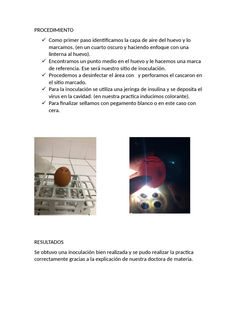 Inoculación de Huevos: Procedimiento y Resultados | PDF