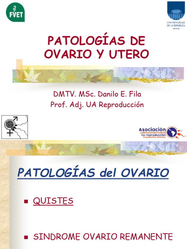 Patologías Ovárica y Uterina Veterinarias | PDF | Ovario | Ginecología