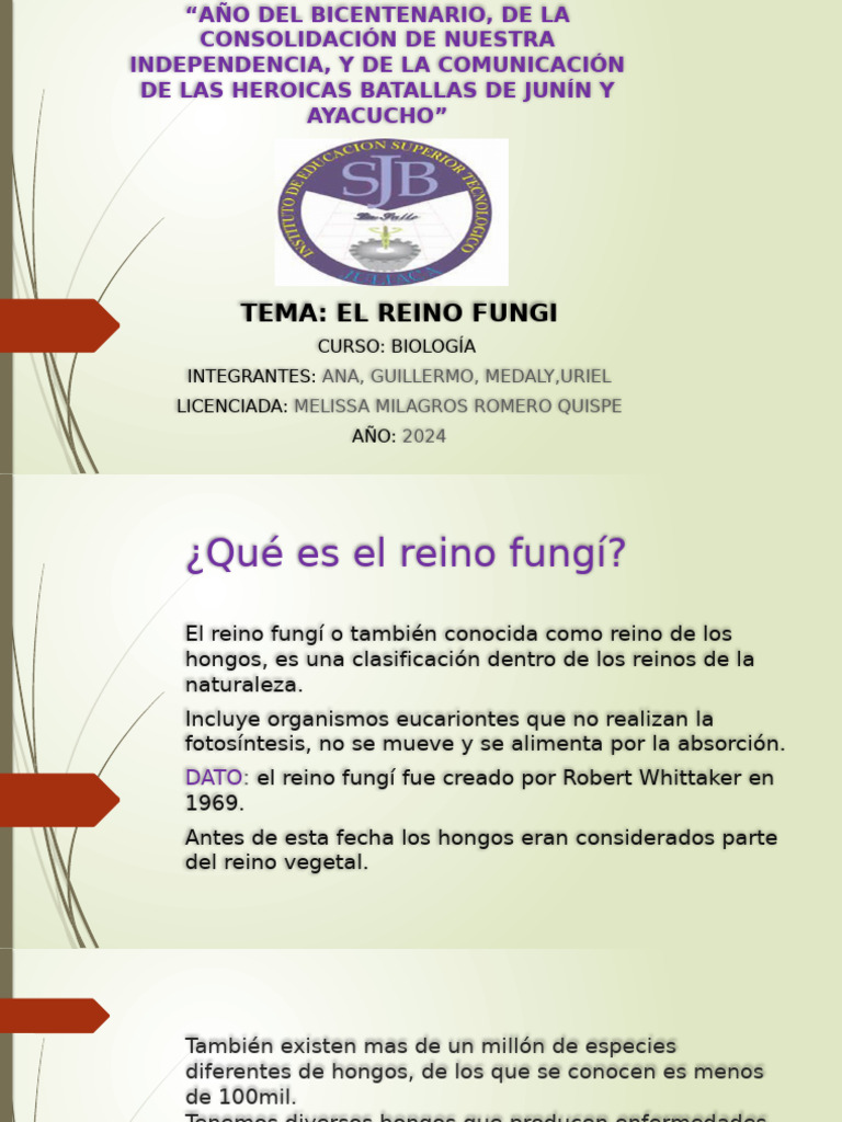 Reino Fungi | PDF | Hongo | Biología Celular)