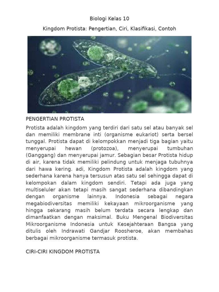 Materi Protista Biologi Kelas 10 | PDF | Griya & Taman | Kesehatan Holistik