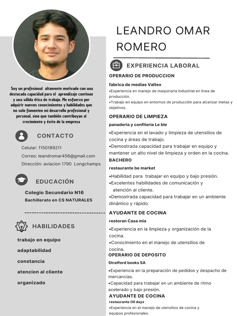 CV Leandro Romerov | PDF