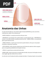 Anatomia da Unha: Estruturas e Funções | PDF