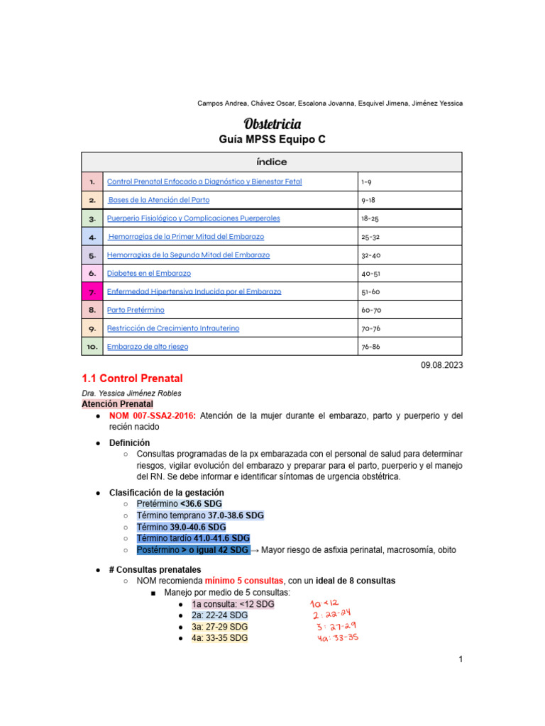 Abrir Abrir Obstetricia MPSS Guía Equipo C 5 PDF | PDF
