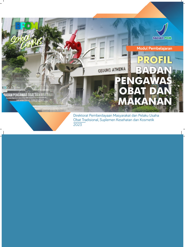 Profil dan Peran BPOM 2023 | PDF