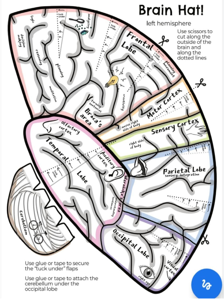 Brain Hat Faye | PDF