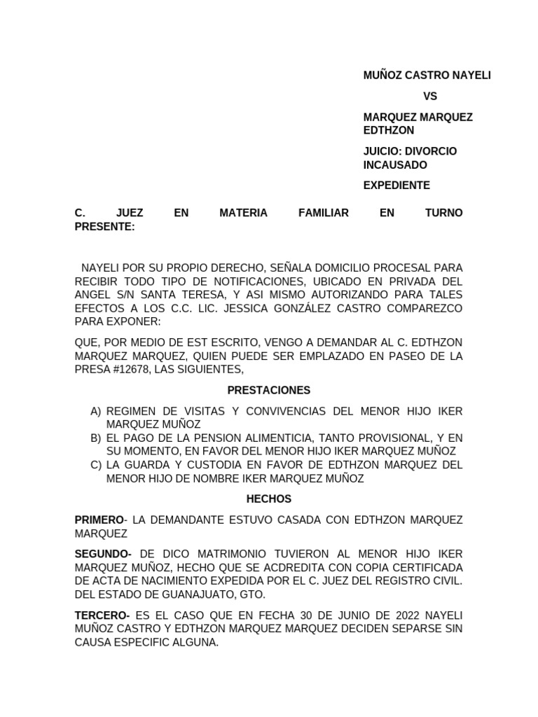 Demanda de Divorcio Incausado | PDF