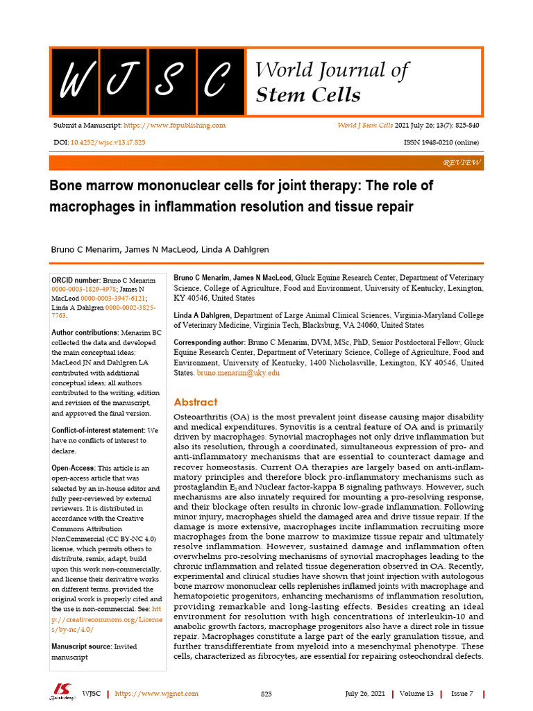 Bone Marrow Mononuclear Cells For Joint Therapy | PDF | Macrophage ...