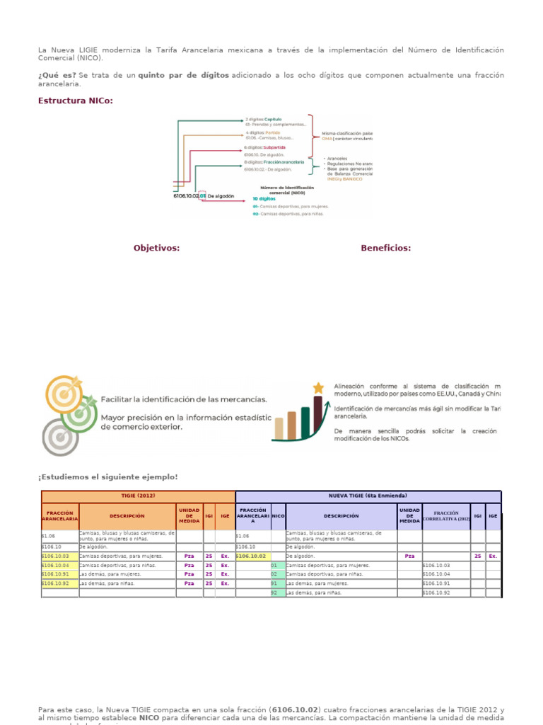 La Nueva LIGIE | PDF