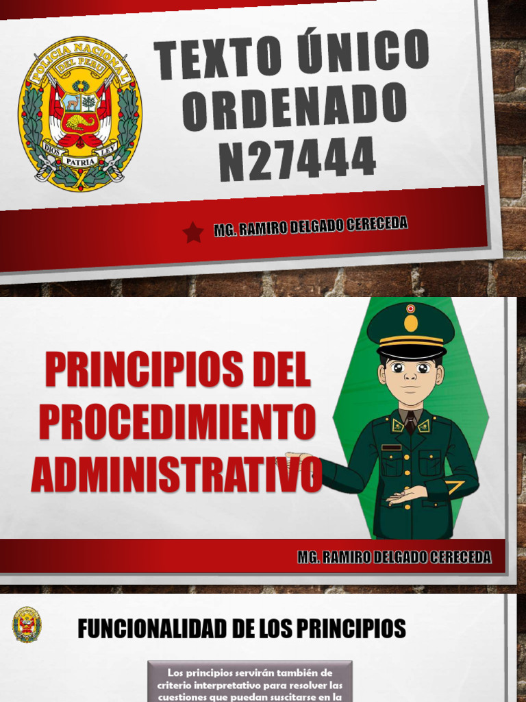 Principios Del Procedimiento Administrativo General | PDF | Ley administrativa | Justicia