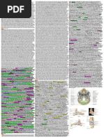 RPI and RPA Concept | PDF | Dentures | Dentistry Branches