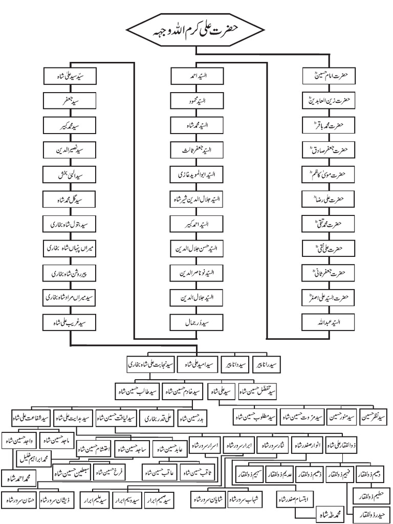 Shajra | PDF