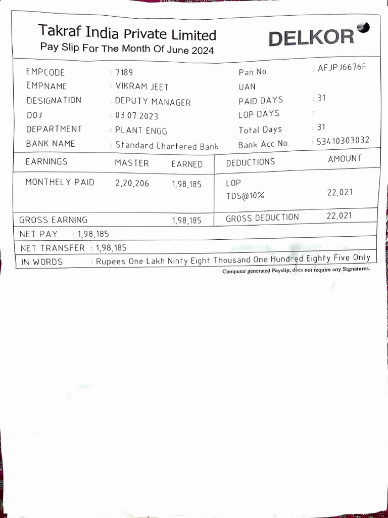 Pay Slip | PDF