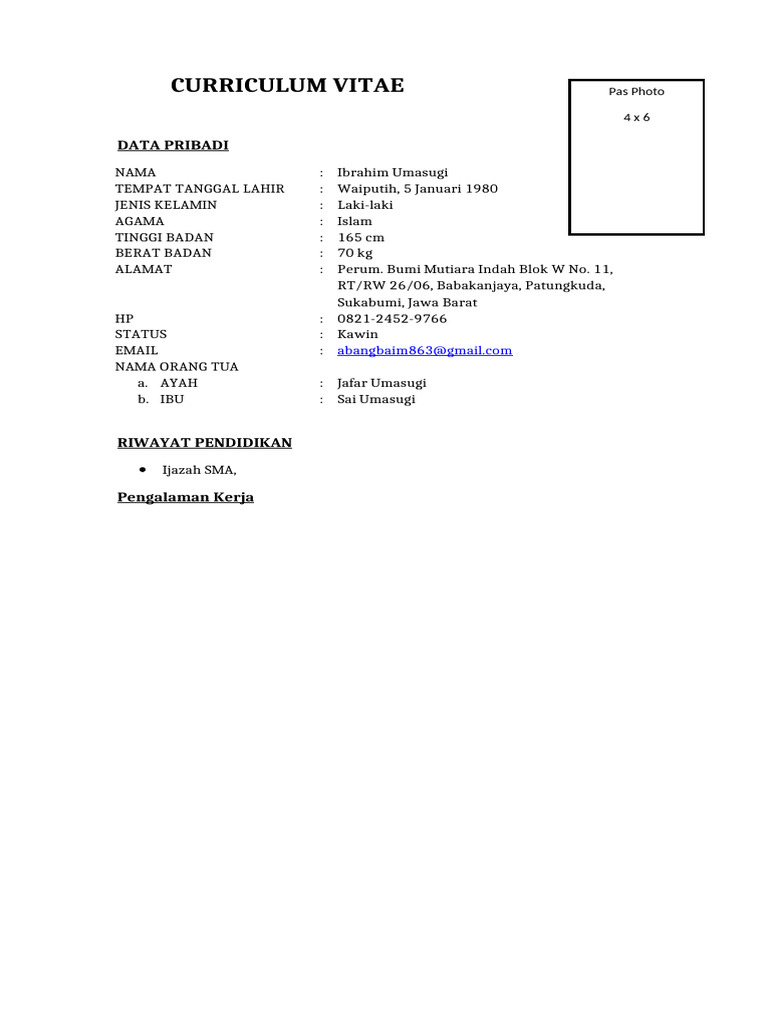 CV Ibrahim Umasugi | PDF